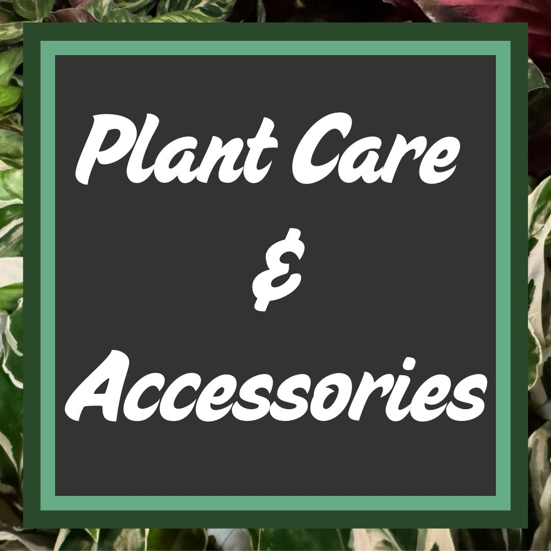 Plant Accessories – The Plant Ward